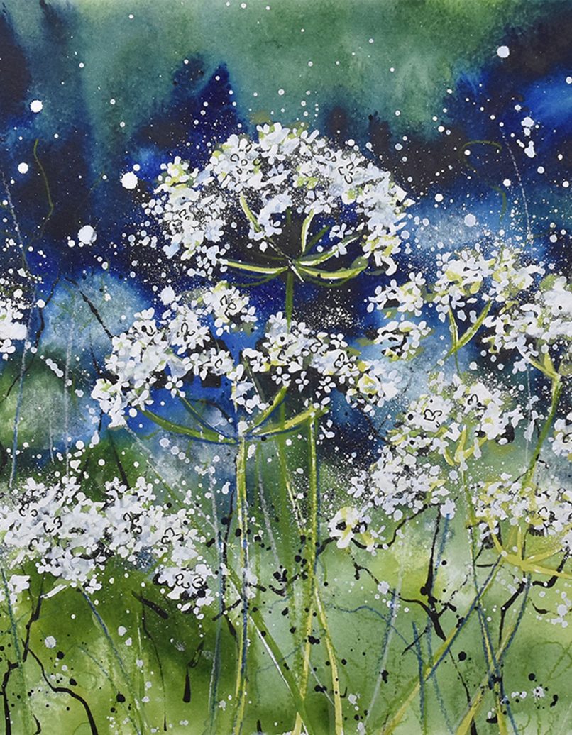 Cow Parsley – Liz Rogers Art